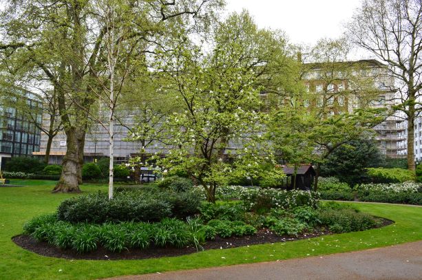 Collington Winter: BNG, Ecology and Environmental Advisors