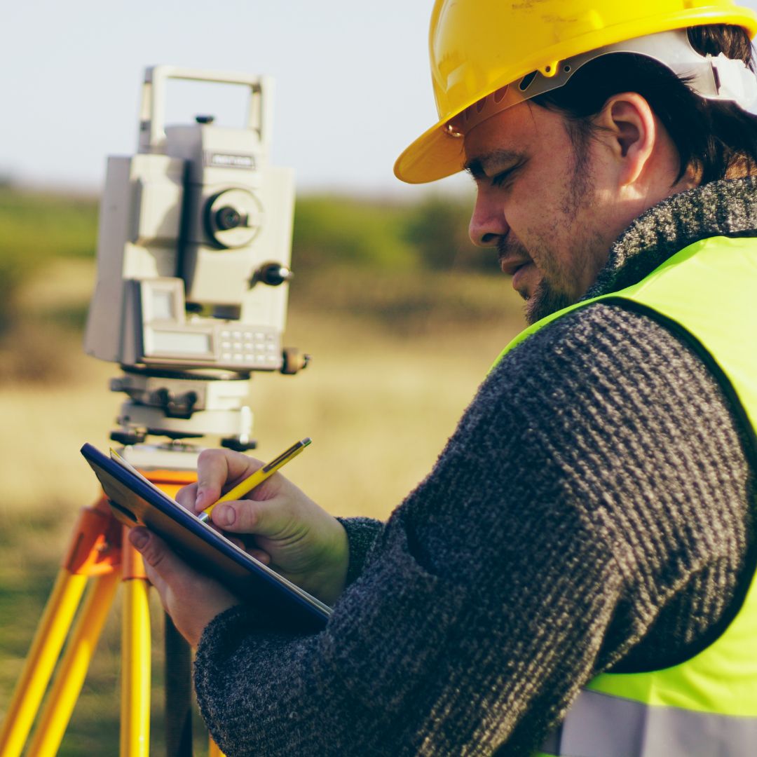 Tree Survey Dorset: Planning and Development - Collington Winter