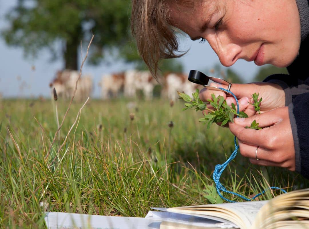 BNG Assessment - CWE Saved Client £530K on Offsetting Costs