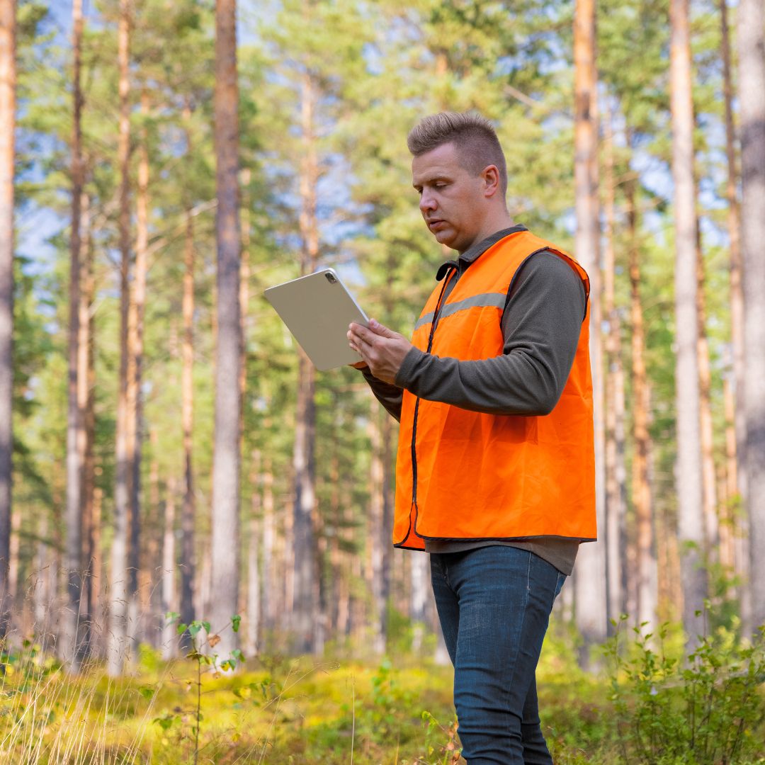 Ecologist Near London: Our Services - Collington Winter