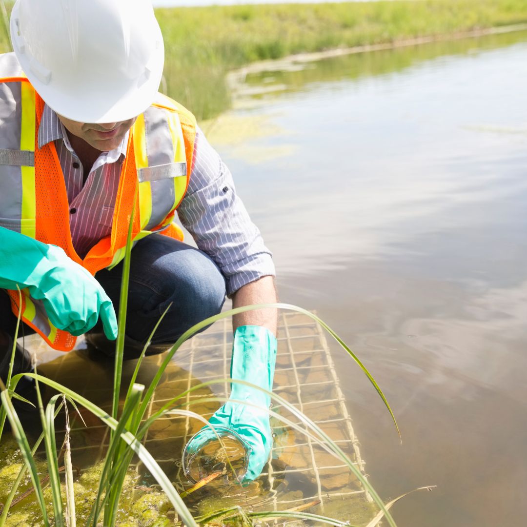BNG Rivers: Assessments and Guidance - Collington Winter