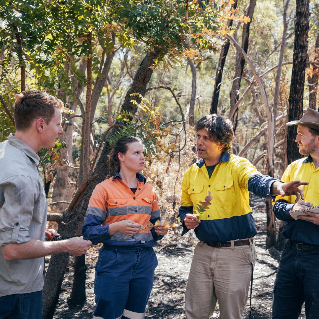 BNG Specialist: How we can assist - Collington Winter