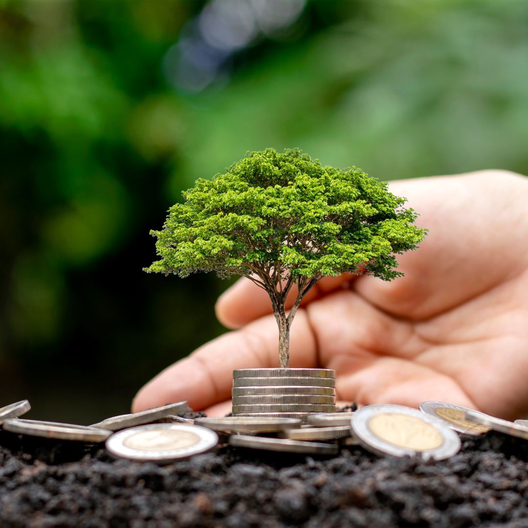 How to Make Money from Land UK - Collington Winter