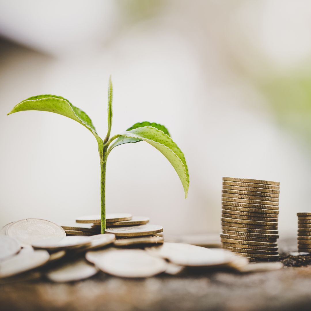 How to Make Passive Income from Land - Collington Winter