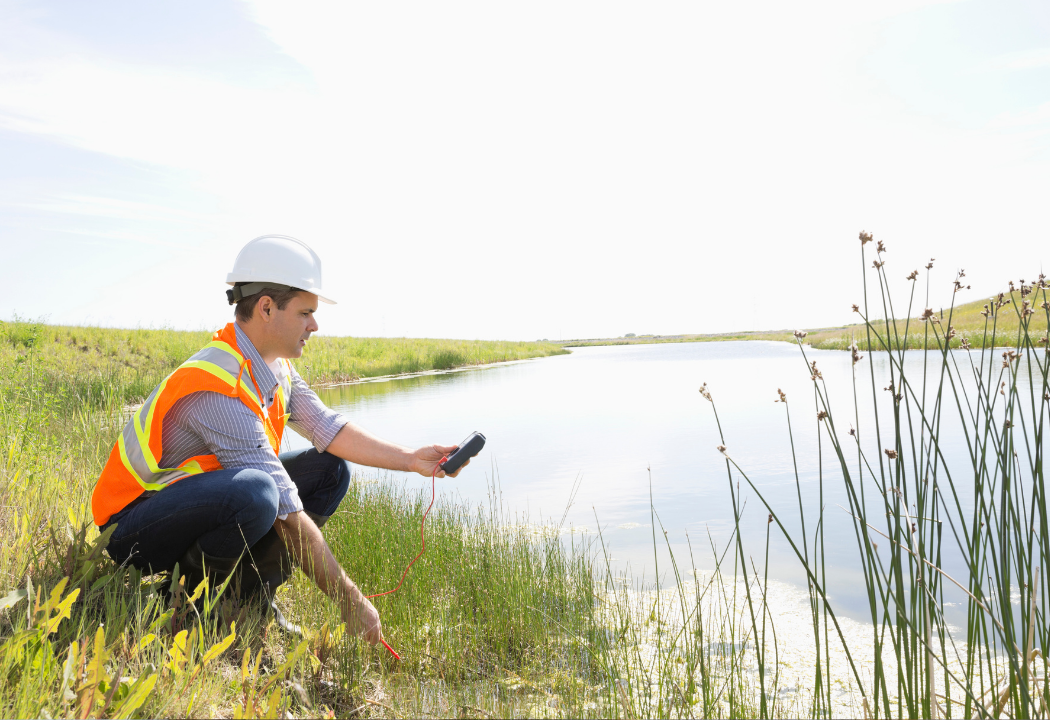 Extended Phase 1 Habitat Survey - Collington Winter